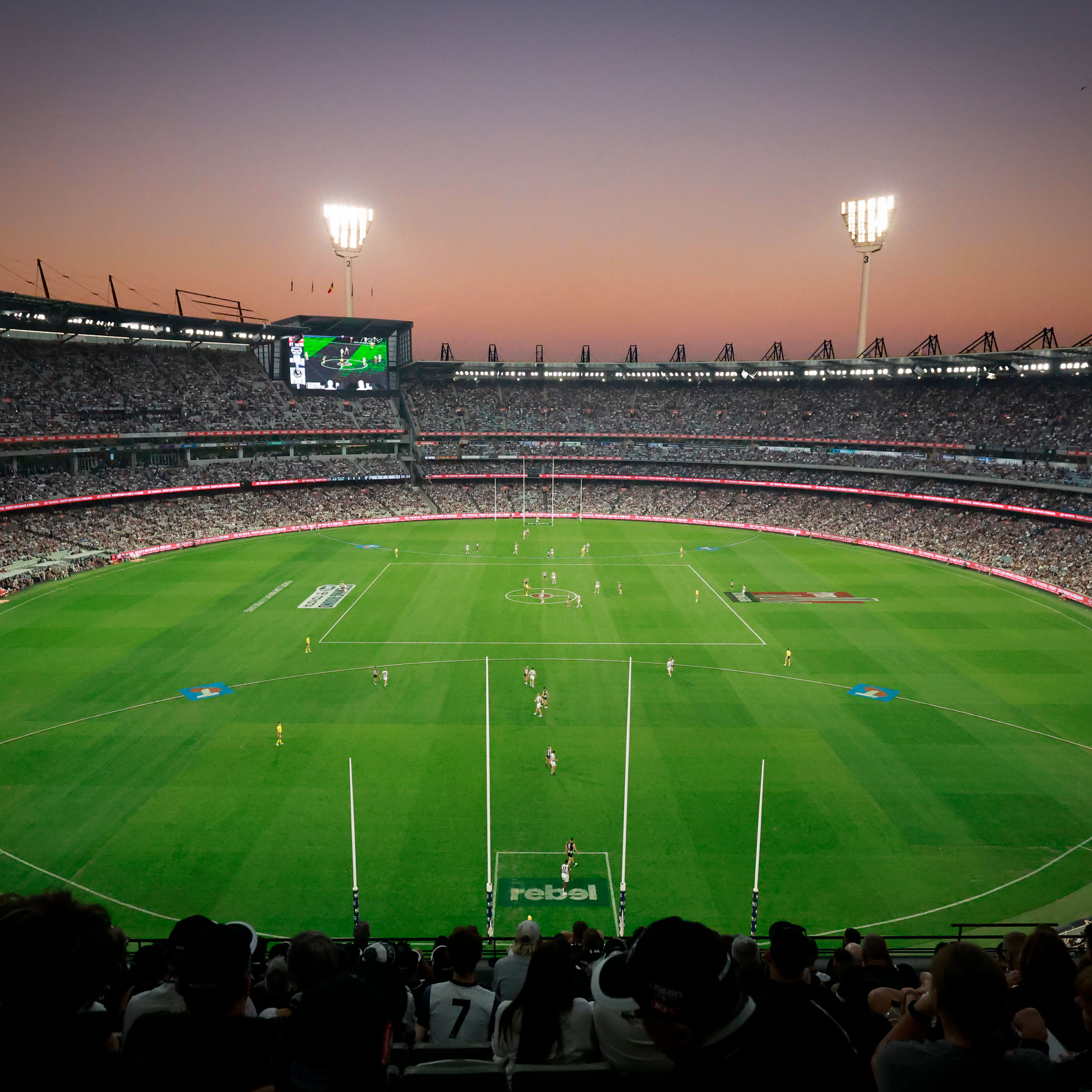 AFL 2024 Media - Ray Chamberlain 20240724 - A-52097641 - AFL Photos